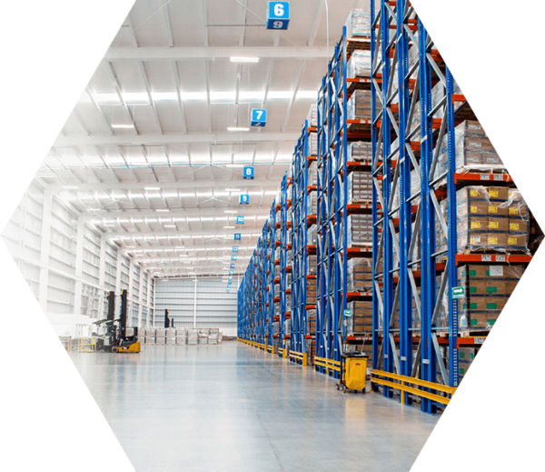 Our Company – PiSA