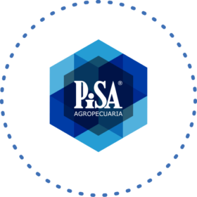Our Company – PiSA